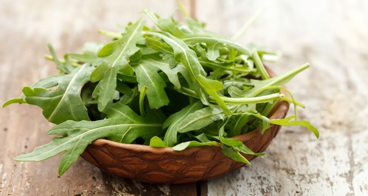 Propiedades de la rúcula