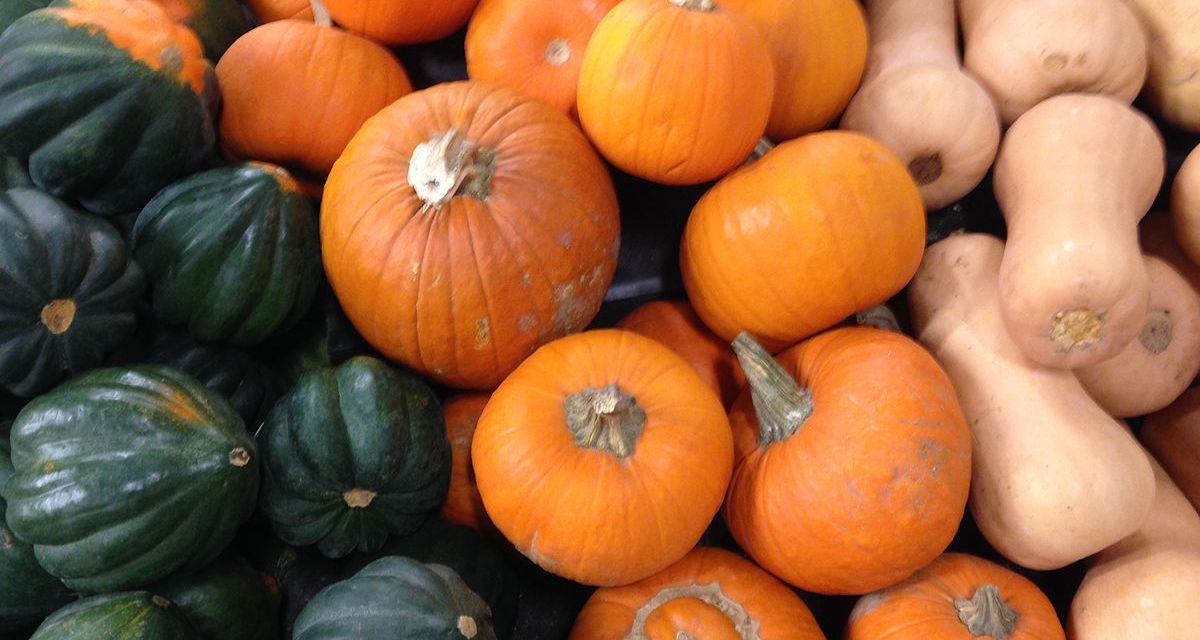 Propiedades del zapallo