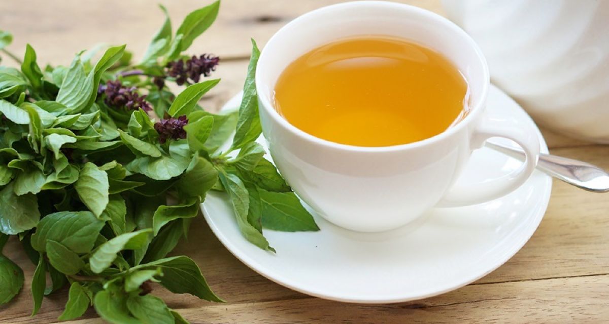 Beneficios del té de albahaca