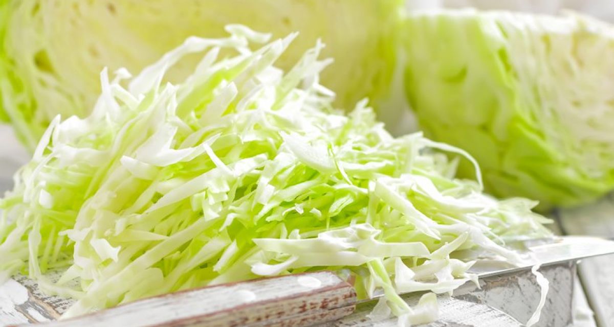 Beneficios del repollo