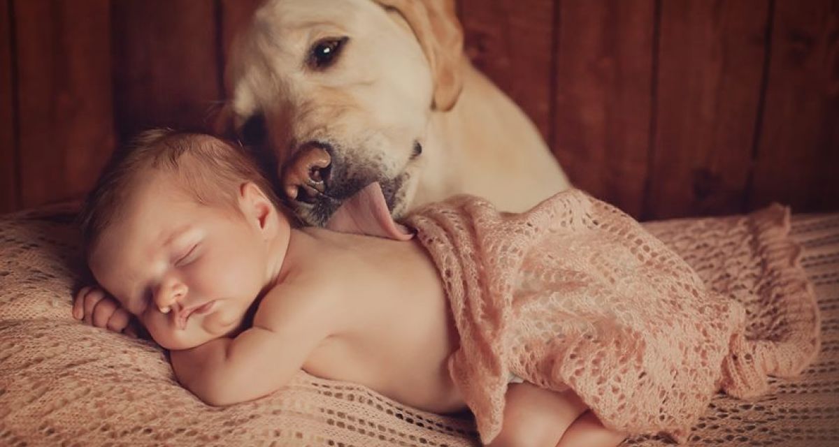 Convivir con perros sería beneficioso para los bebés