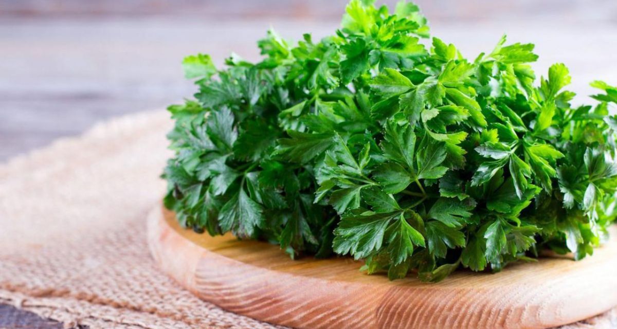 Beneficios del perejil para la salud